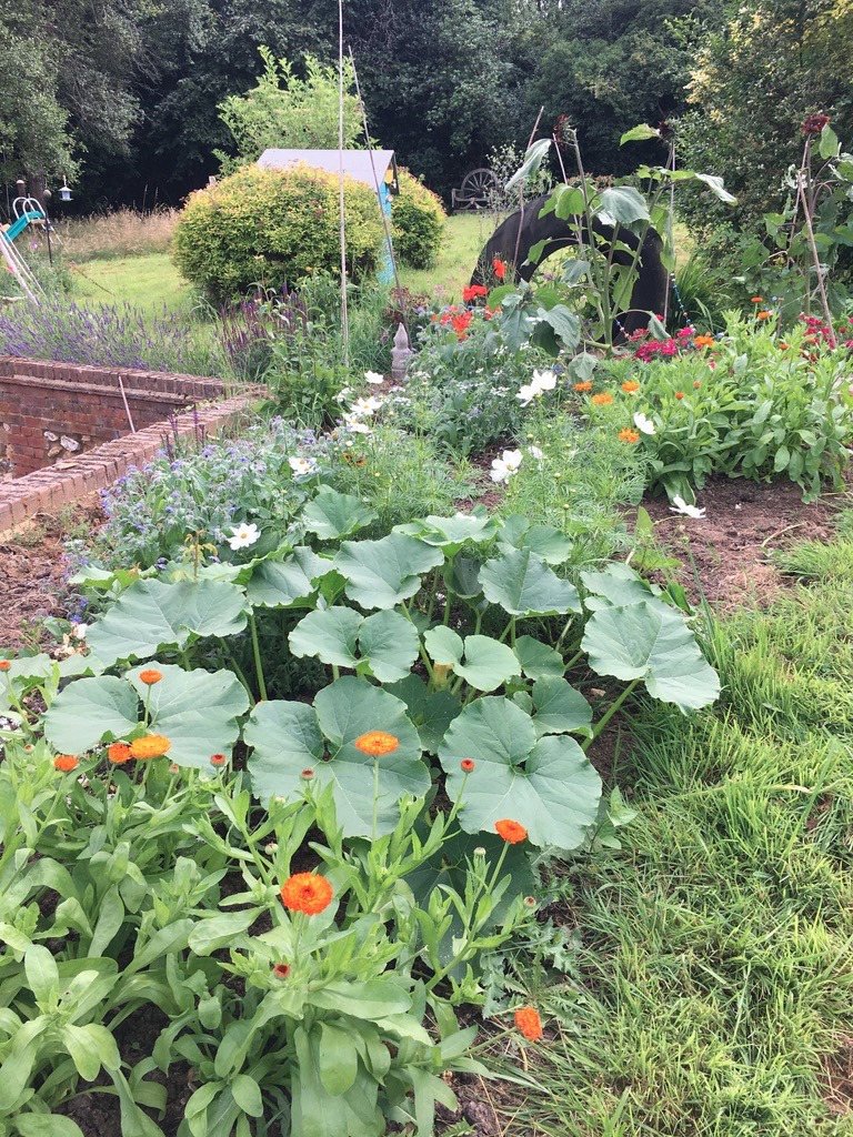 Resources - The Great British Veg Plot